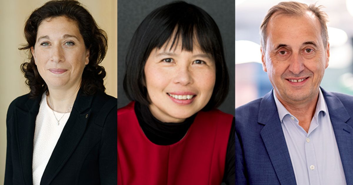 Appointments within the Societe Generale group management committee ...
